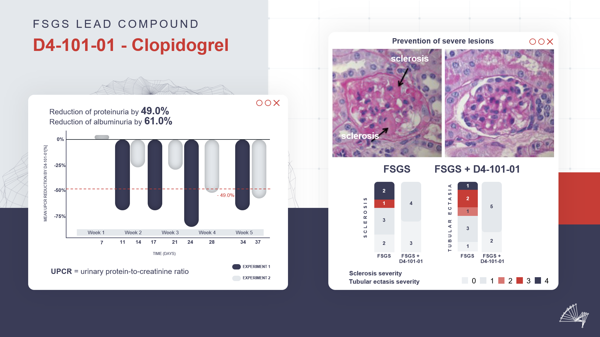 Delta4 Identifies a Potential New Therapeutic Option for FSGS